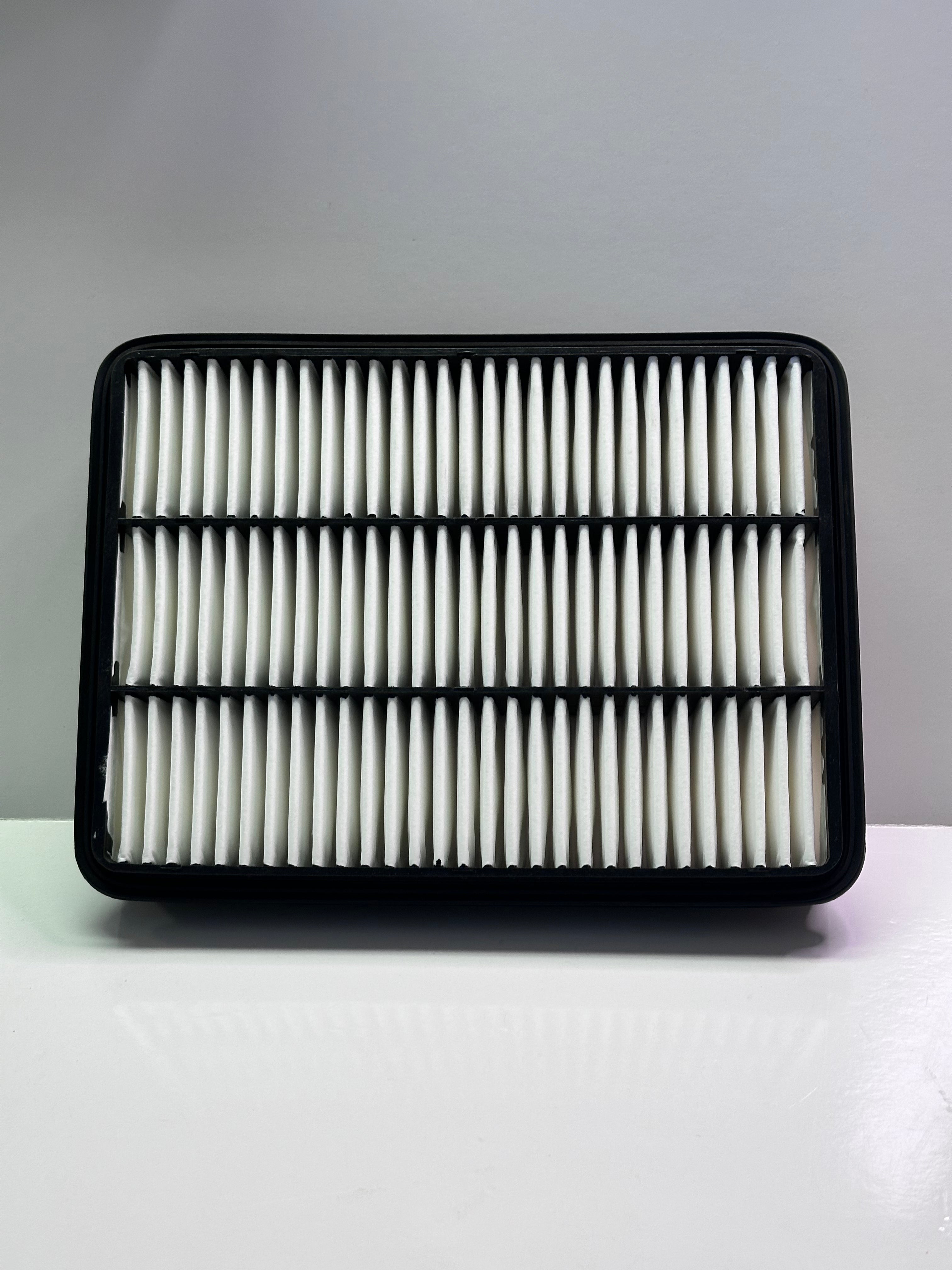 Donaldson P505979 Air Filter Panel for Landcruiser Prado 2004-2006 ...