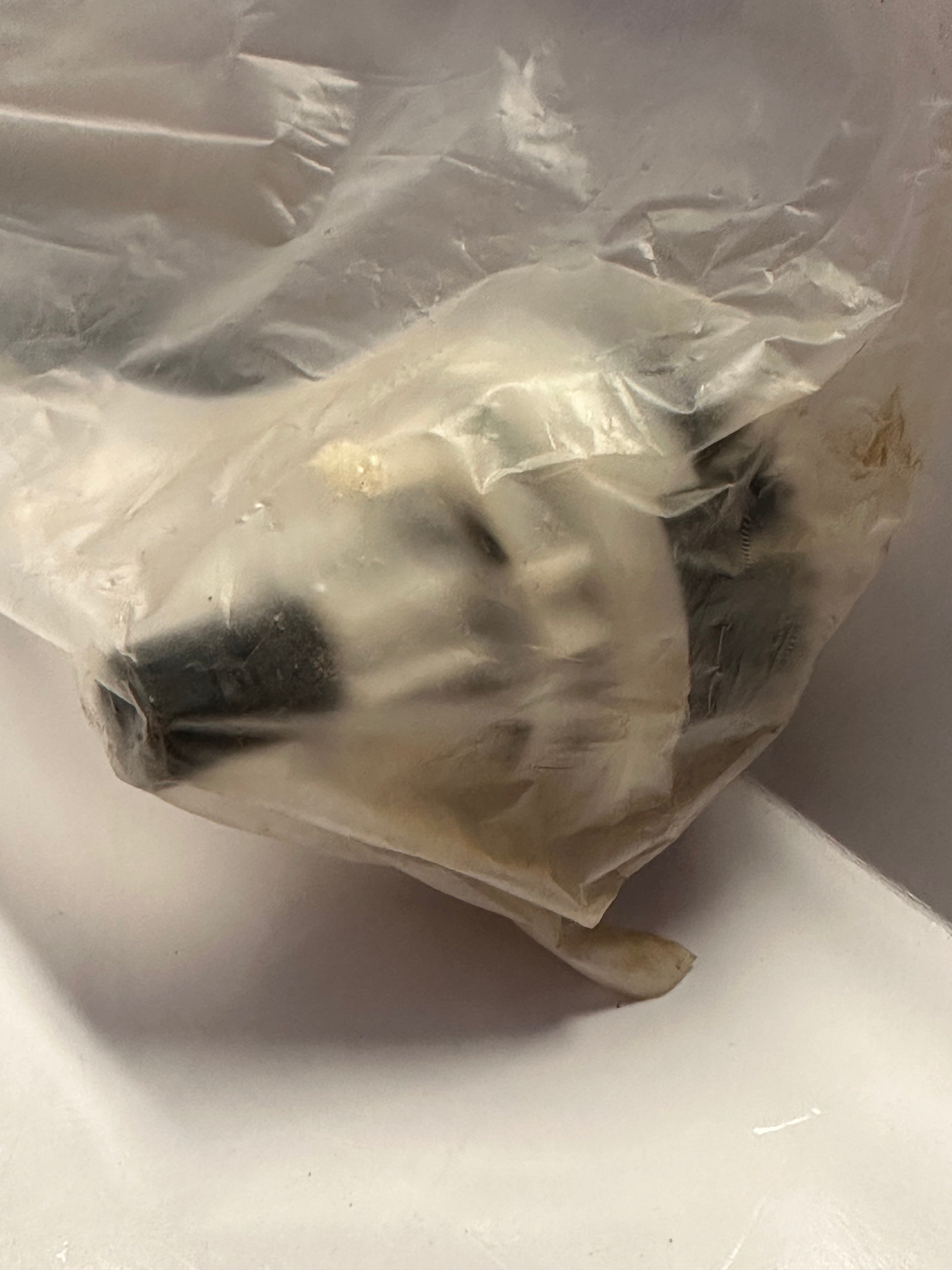 TOYOTA Hilux Bonnet Lock Release Cable 53630-0K010 | Mining ...